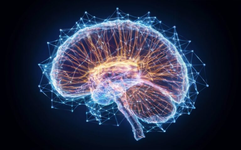 Exploring Neurology: Understanding the Brain, Nervous System, and Neurological Health